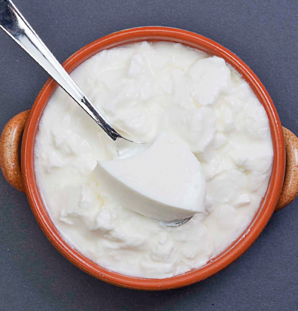 Regular Dahi Gourmetwala